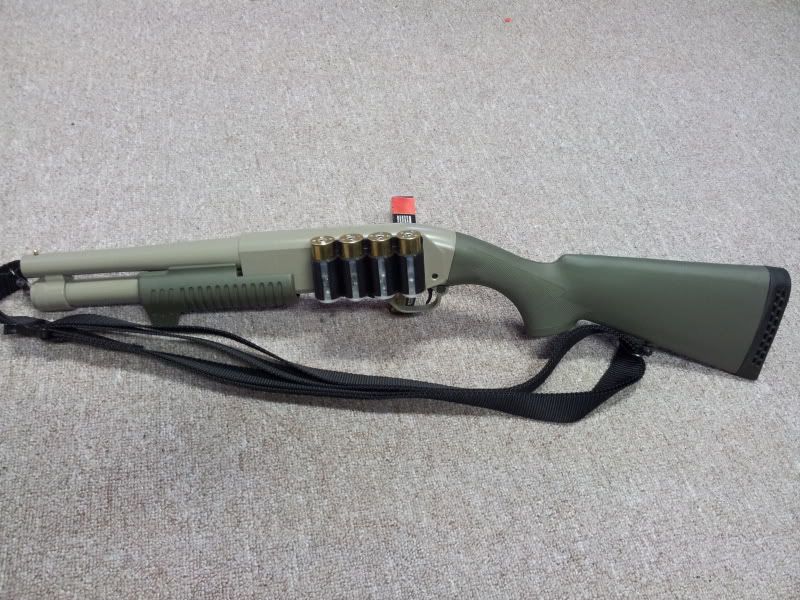 Grizz Duracoat project | Canadian Gun Nutz