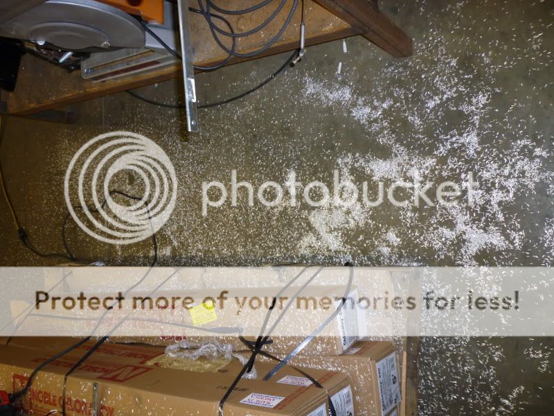 20' Schiada Rebuild | Page 3 | Performance Boats Forum