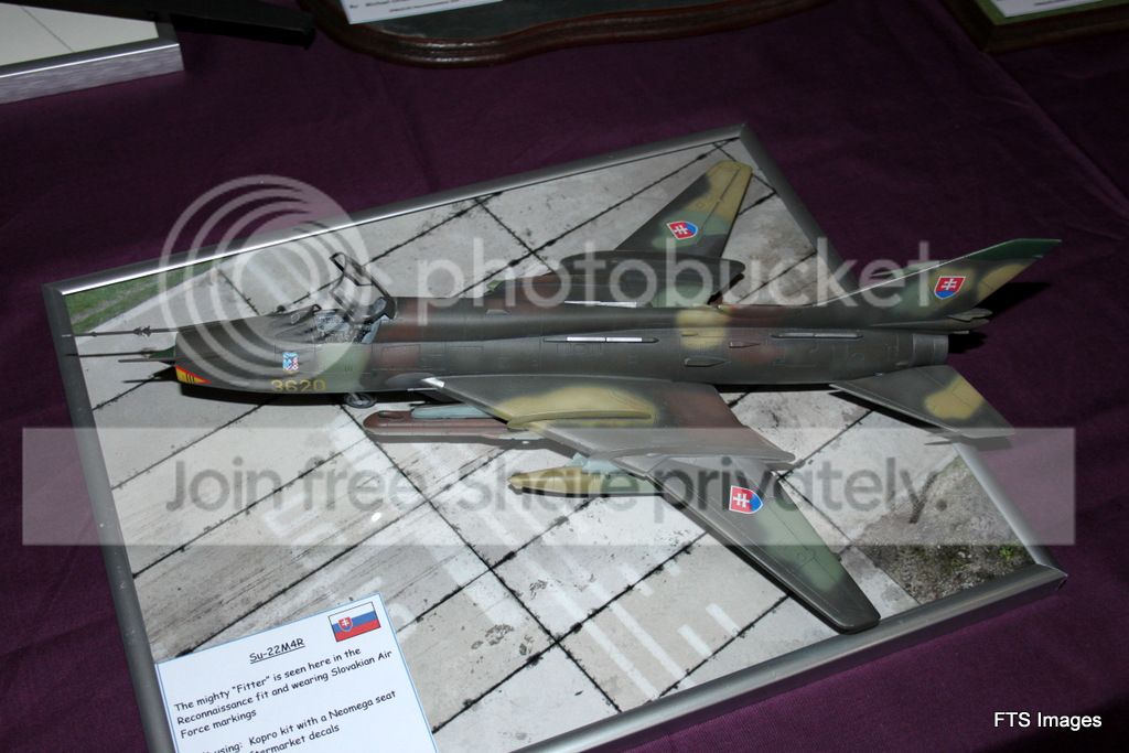 Peterborough Model Show 2013 - FighterControl