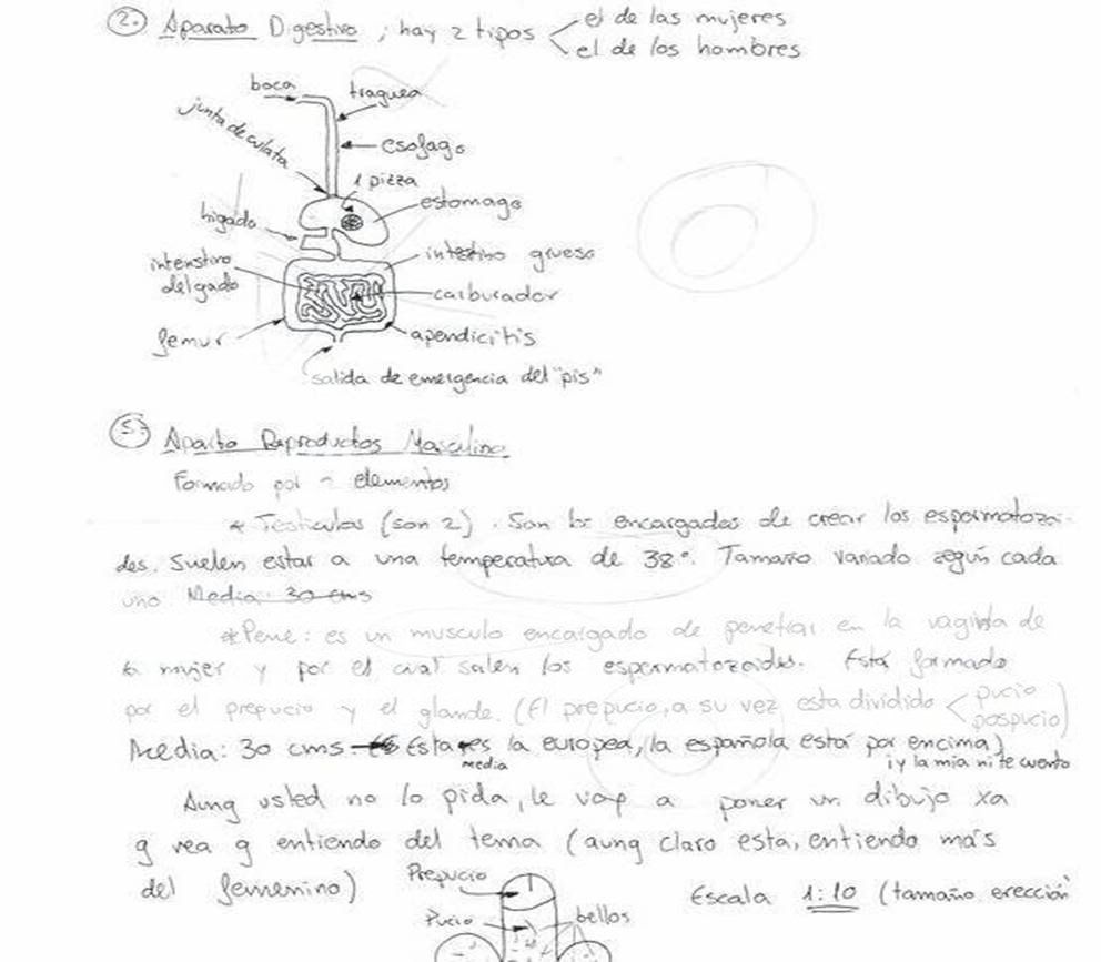 Prepucio: pucio y postpucio: gigatron — LiveJournal