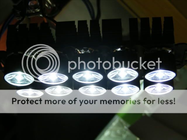 New LED Lighting... - FlyTrapCare Forums