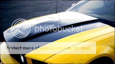 BOSS Mustang Hood | Ford Mustang Forum