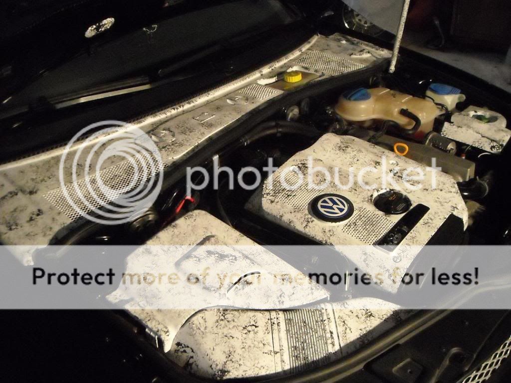 Custom Engine Bay | Volkswagen Passat Forum