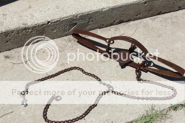 SOLD 4 1/2 Newhouse wolf trap F/S | North Dakota Fishing and Hunting Forum