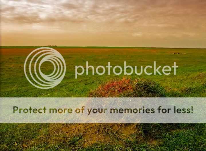 REKA BEGEJ - Priroda, pejzaži - Dizajn Zona