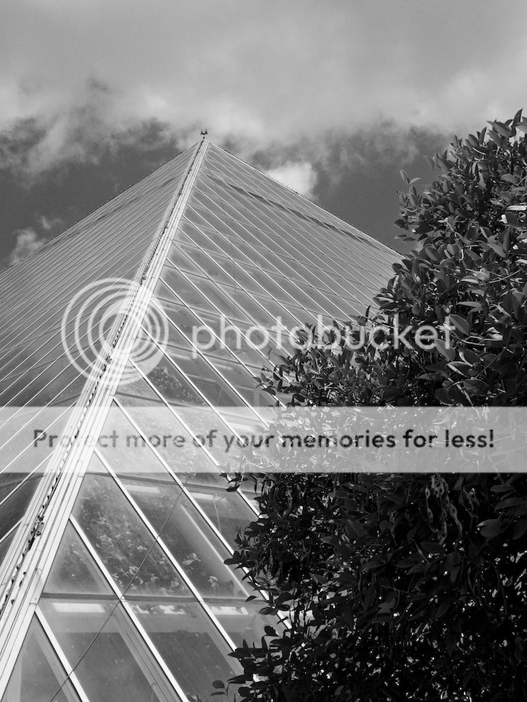 Angles - PentaxForums.com