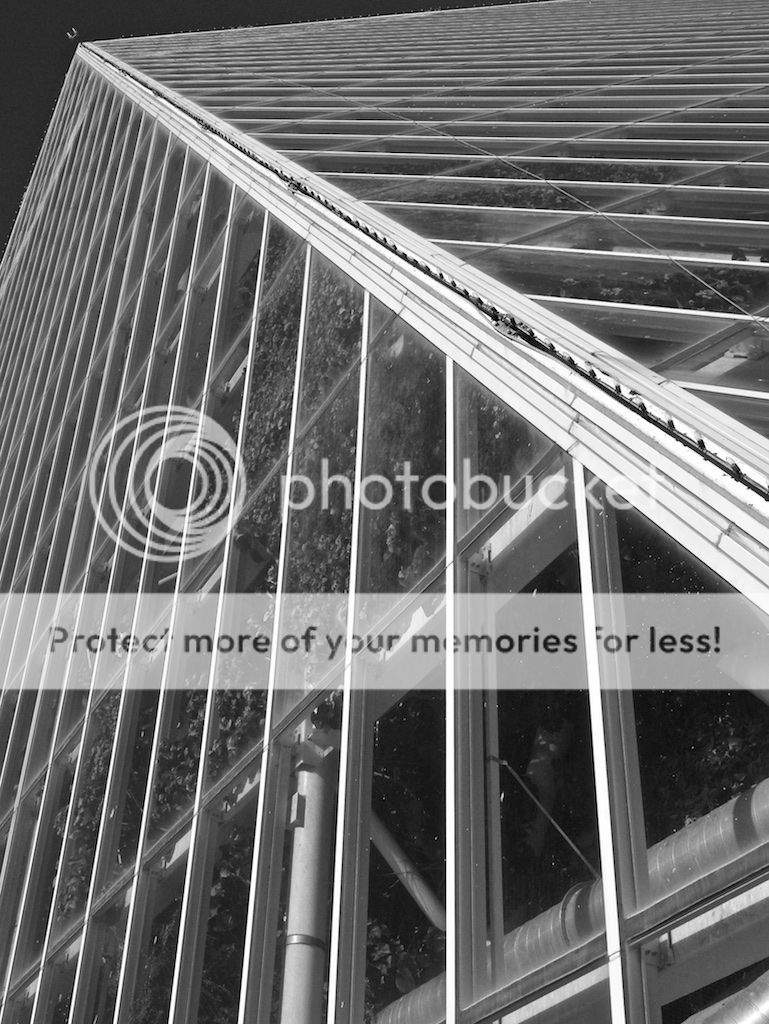 Angles - PentaxForums.com