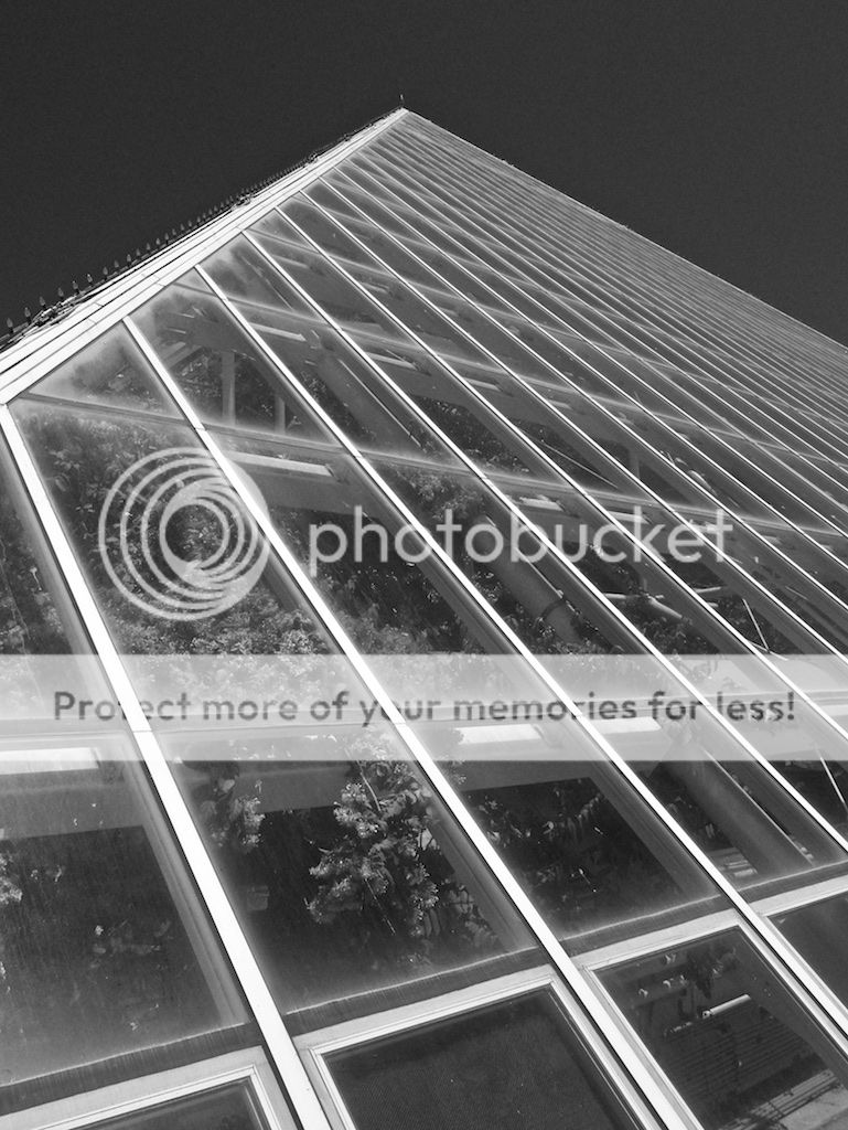 Angles - PentaxForums.com