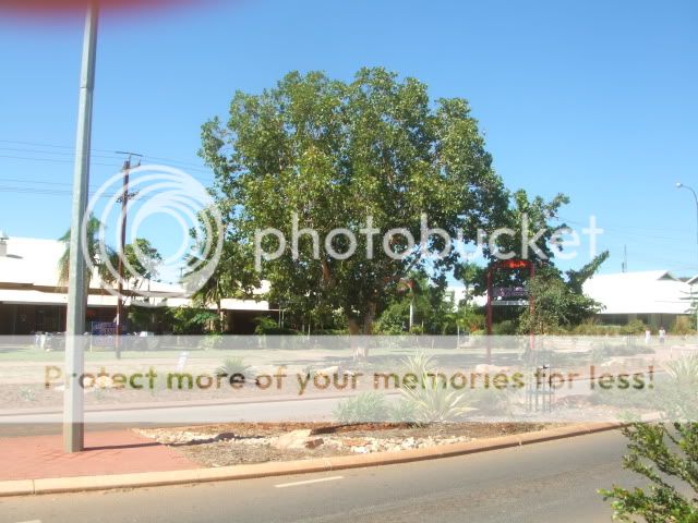 Broome/West Kimberley photos - TRAVEL LOGS - PalmTalk