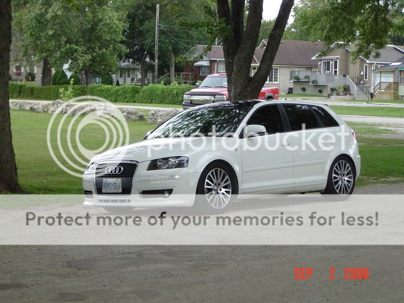 What do you think about this rims. Made by Spyn in Montreal | Page 2 ...